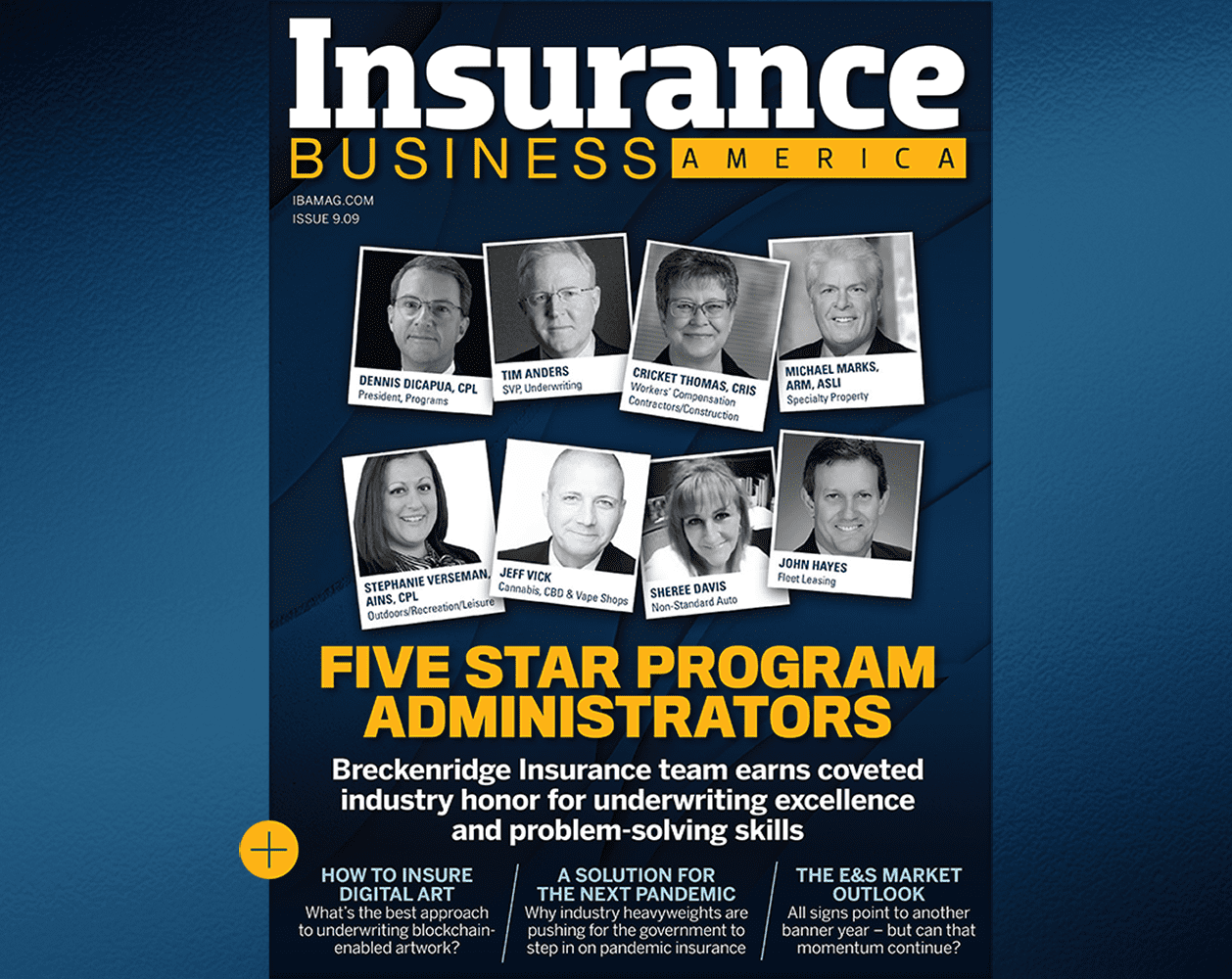 Program Partnership Opportunities - Breckenridge Insurance